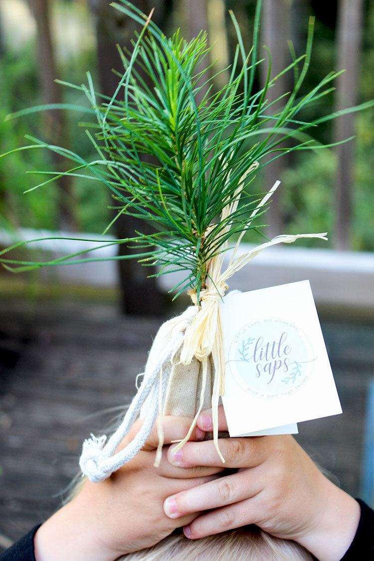 Gift Trees and Memorial Trees for Meaningful Life Moments | Little Saps