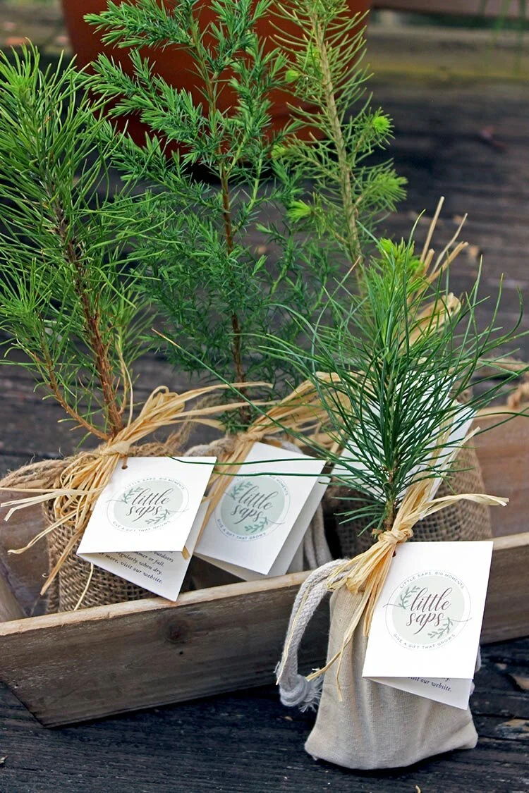 Gift Trees and Memorial Trees for Meaningful Life Moments | Little Saps