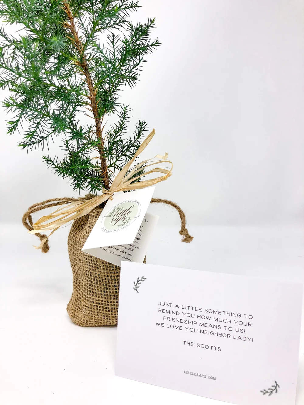 Friends Are Like Trees Quotes