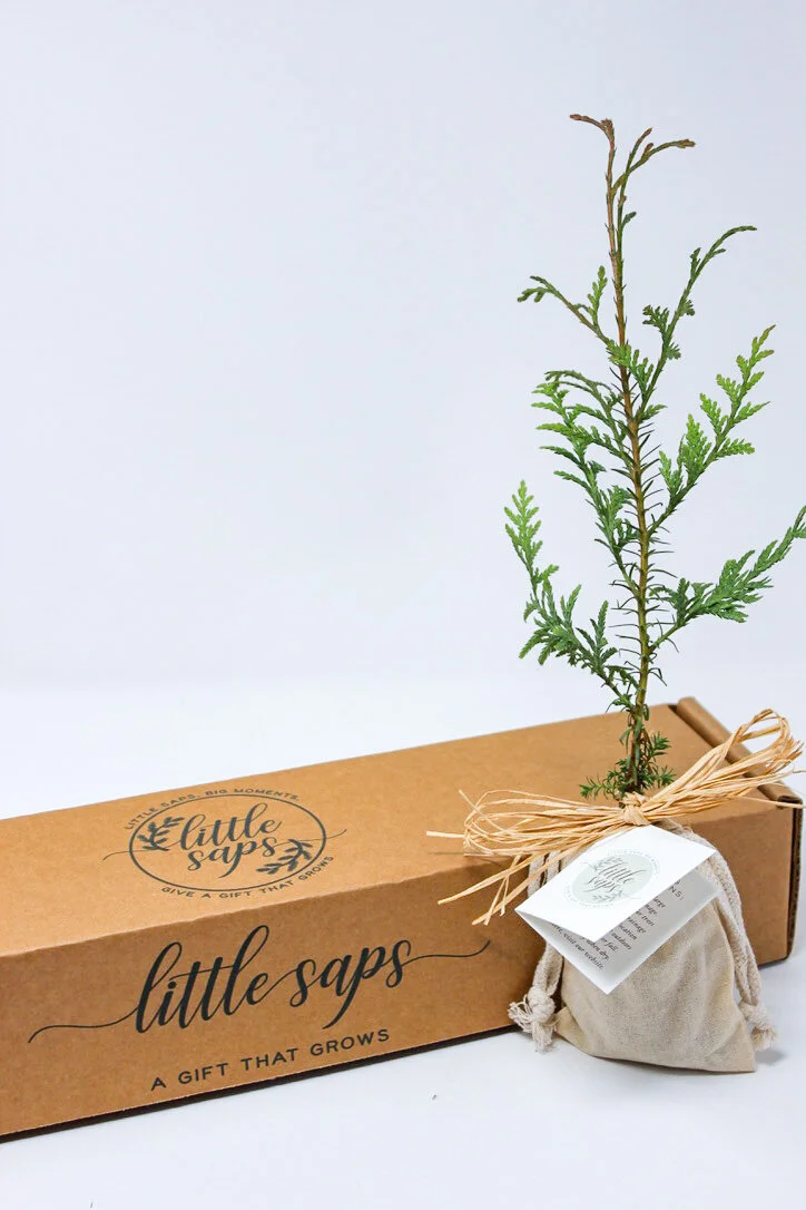 A Unique Gift Tree for Inspirational Moments and Memorials | Little ...