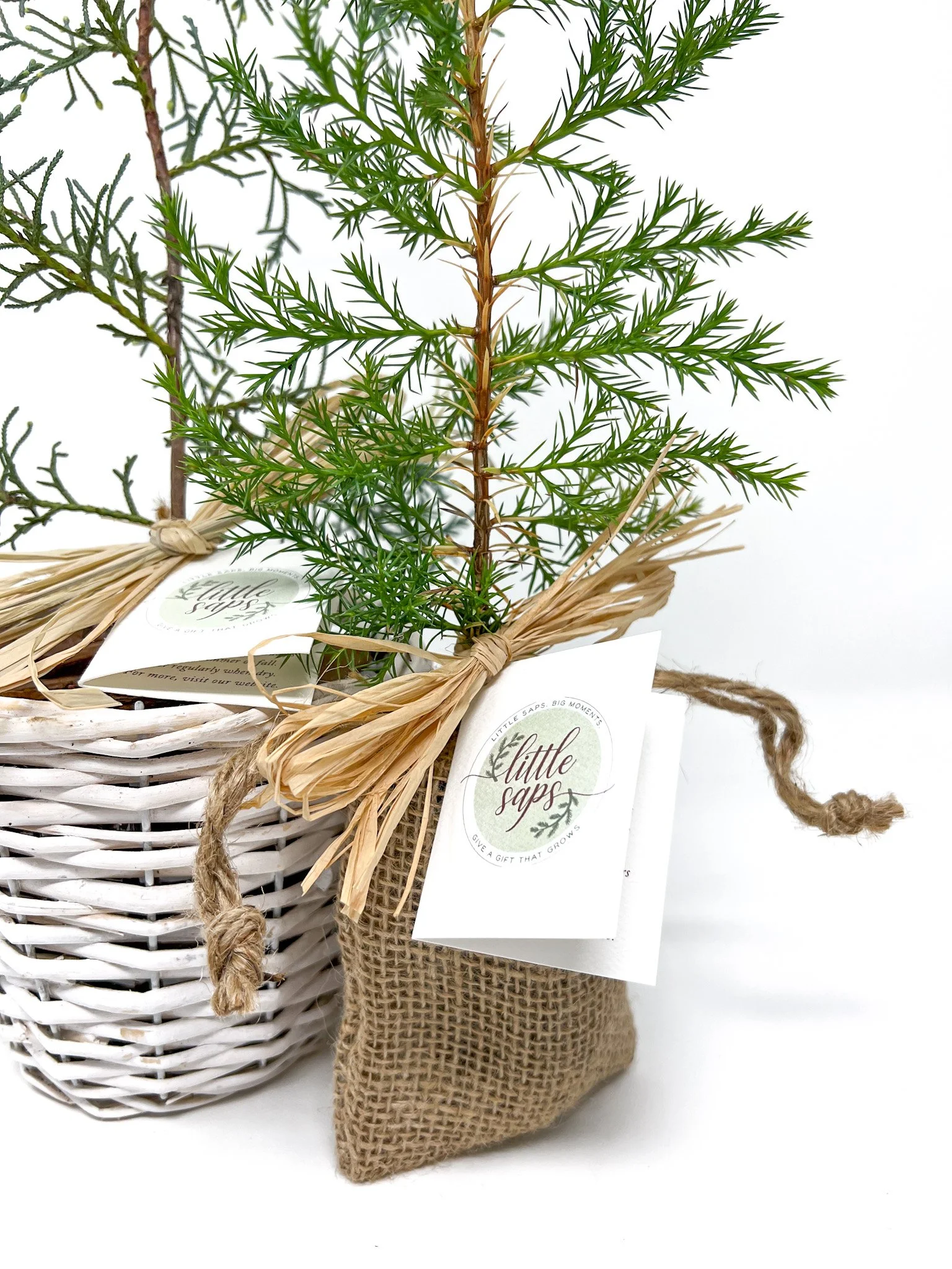 A Unique Gift Tree for Inspirational Moments and Memorials | Little ...