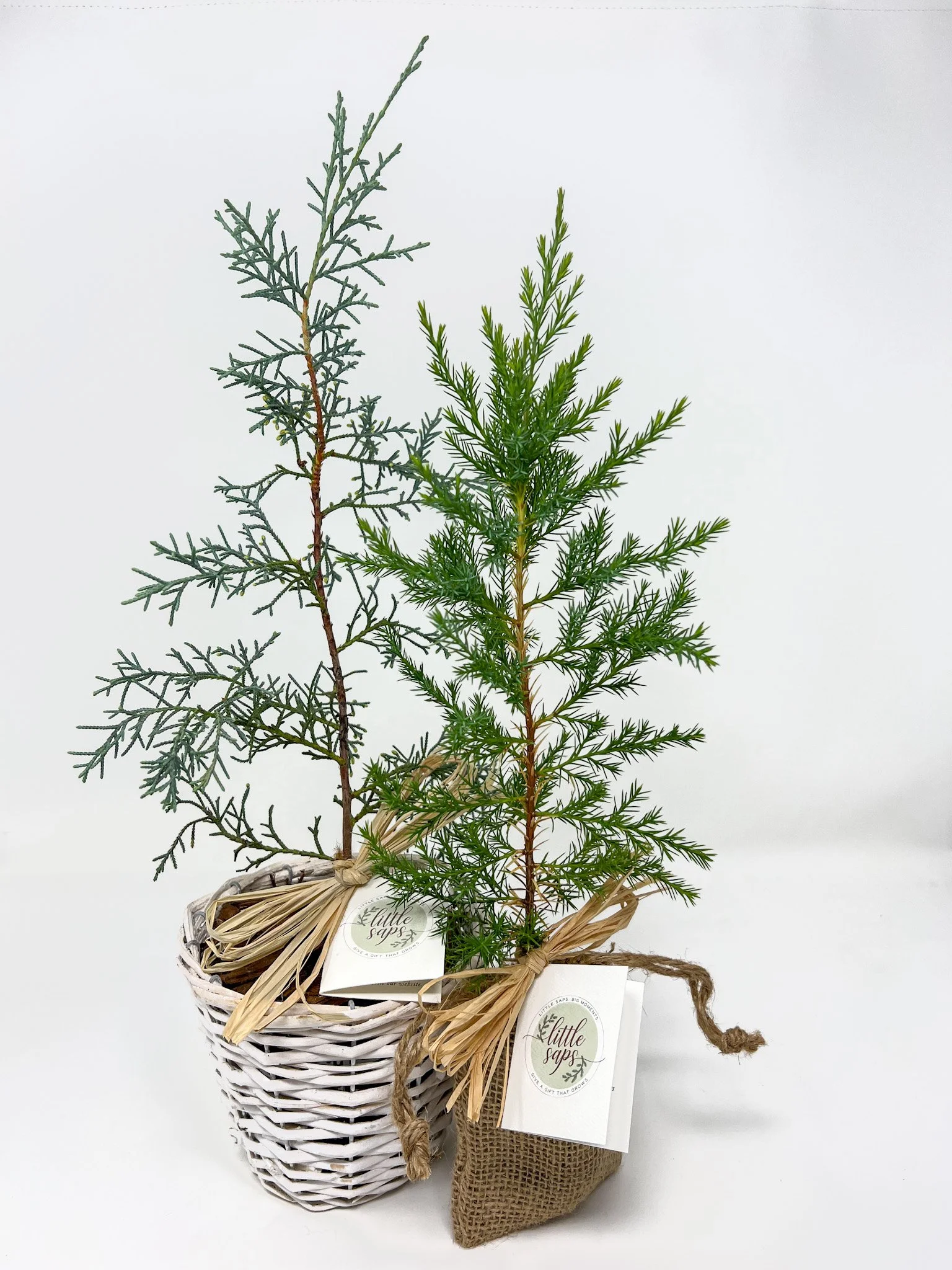 A Unique Gift Tree for Inspirational Moments and Memorials | Little ...