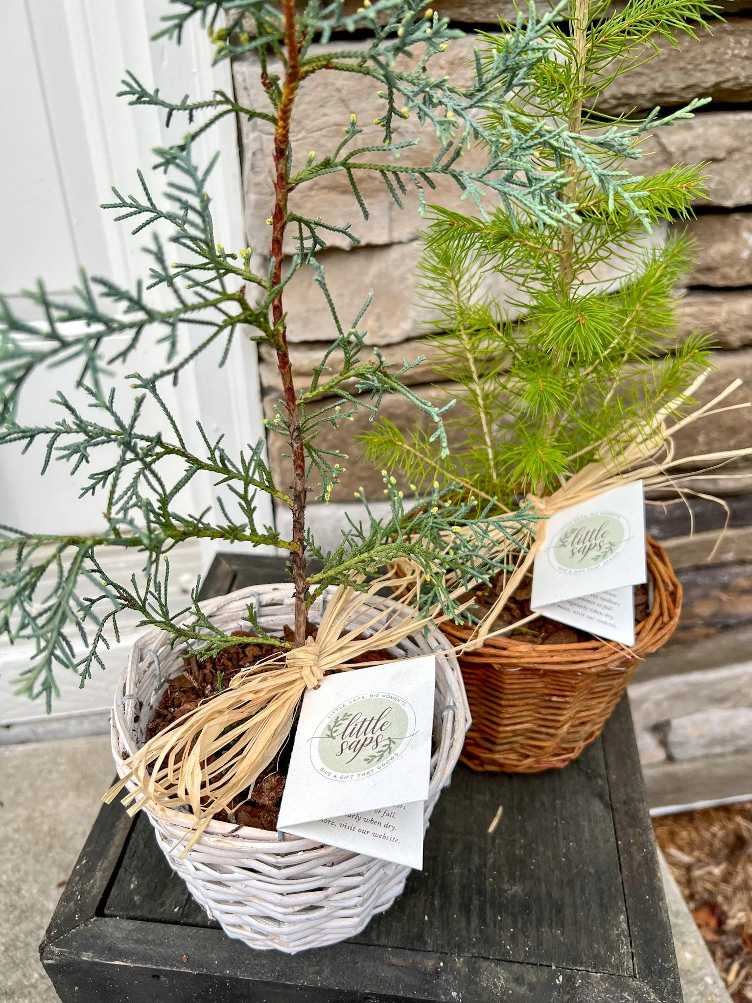 A Unique Gift Tree for Inspirational Moments and Memorials | Little ...