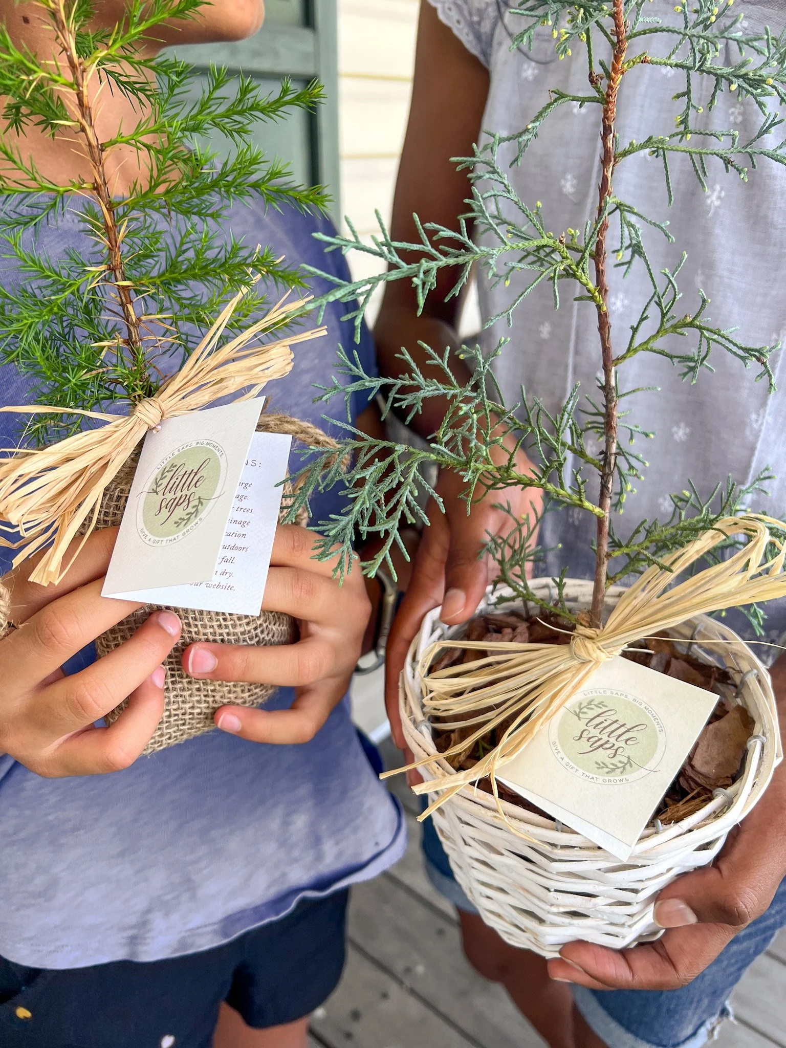 A Unique Gift Tree for Inspirational Moments and Memorials | Little ...