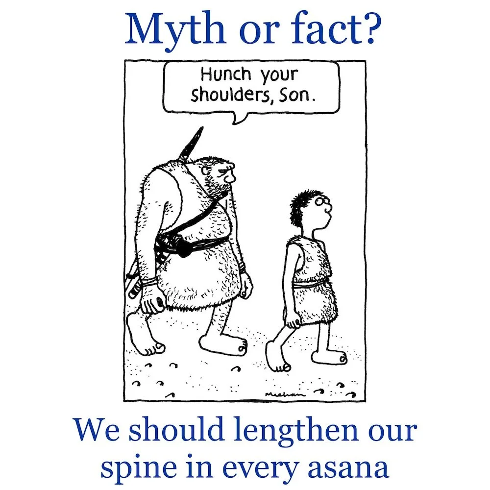 Is Lengthening the Spine Always the Best Option? — Doctor Yogi