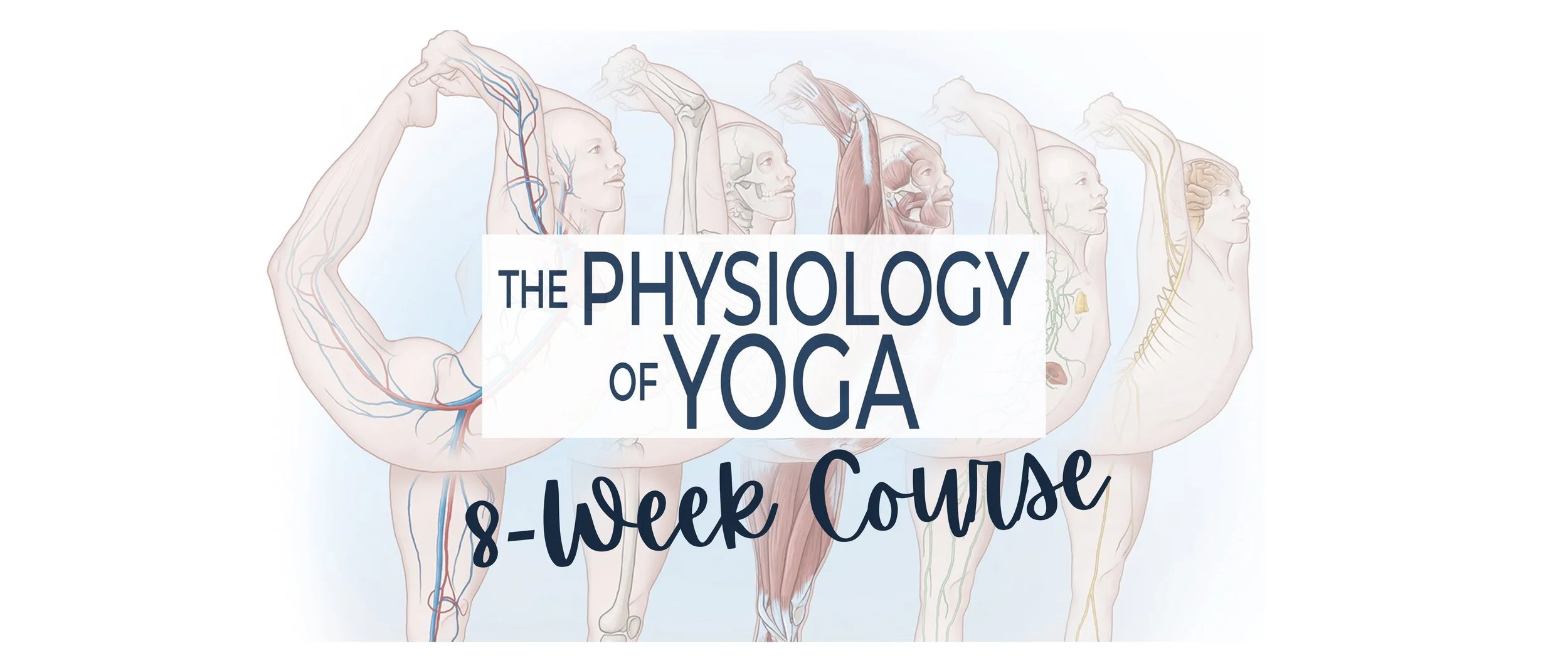 Yoga Anatomy Online Course - Doctor Yogi