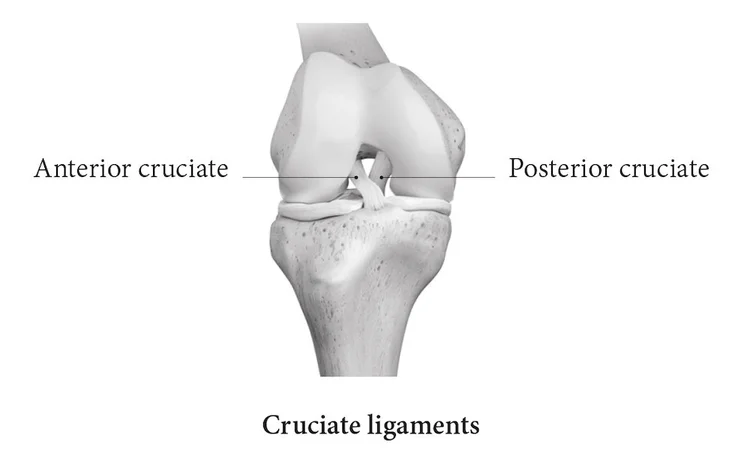 What is Knee Hyperextension? — Doctor Yogi