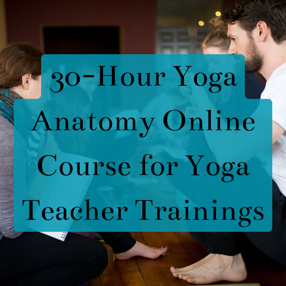 Anatomy for Yoga Teacher Training Courses - Doctor Yogi