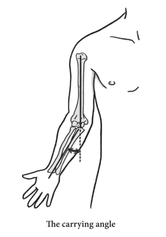 Unpacking Chaturanga Dandasana — Doctor Yogi