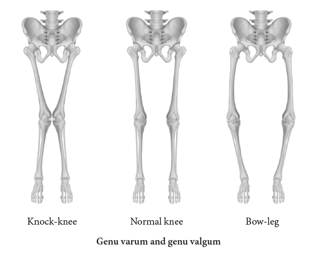 Is it Really that Bad to Take Your Knee Beyond Your Ankle in Warrior ...