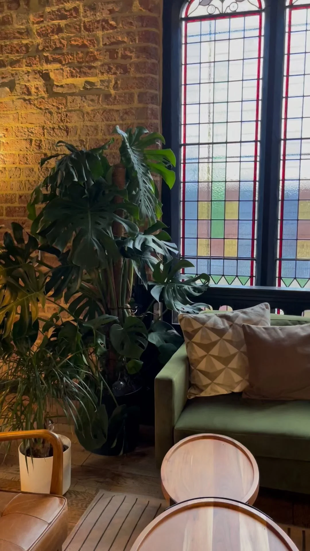 Plant Shop Manchester