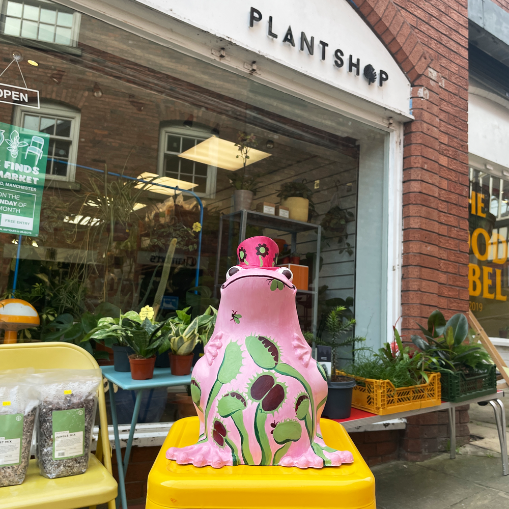Plant Shop Manchester