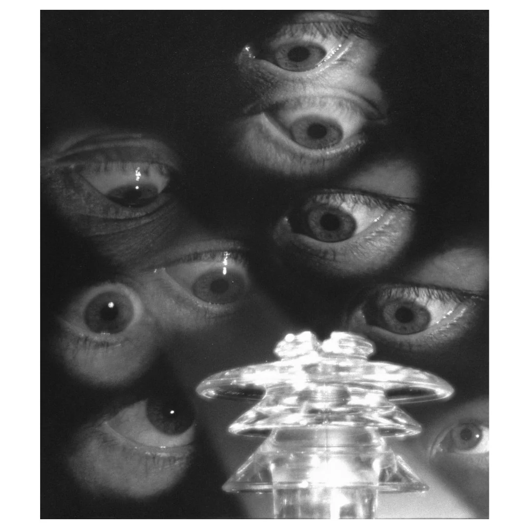 The Corporate Eye — Elspeth H. Brown
