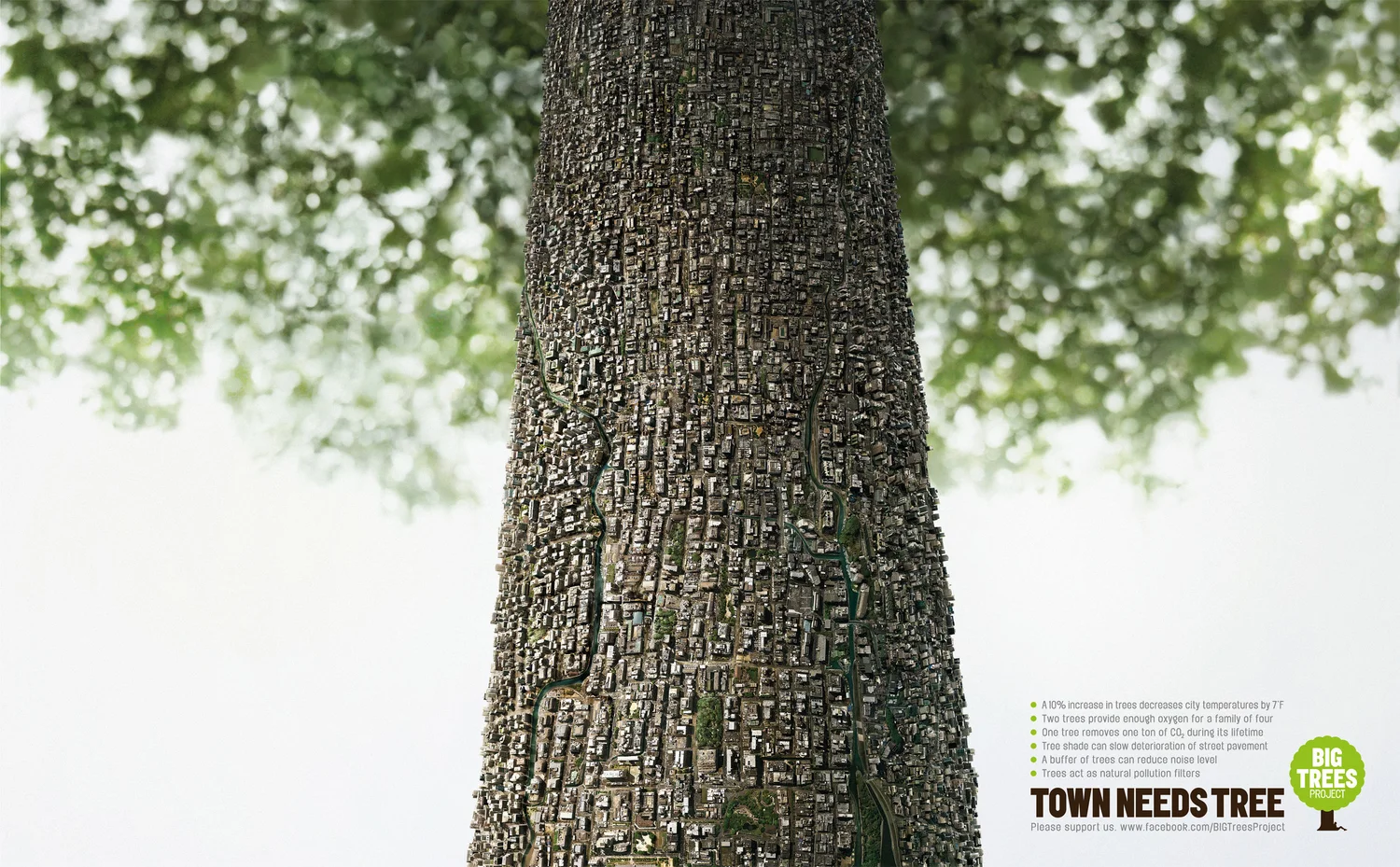 Town Needs Trees - ILLUSION CGI STUDIO