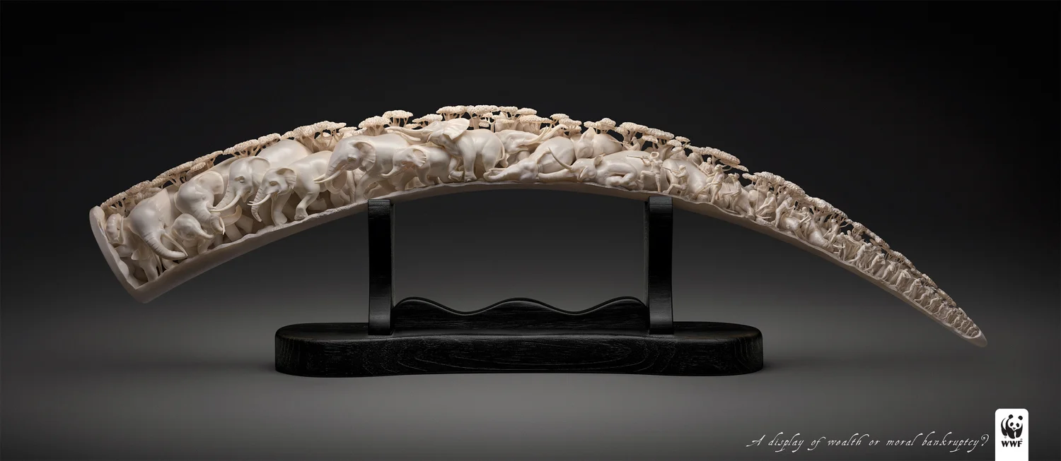 Ivory - ILLUSION CGI STUDIO