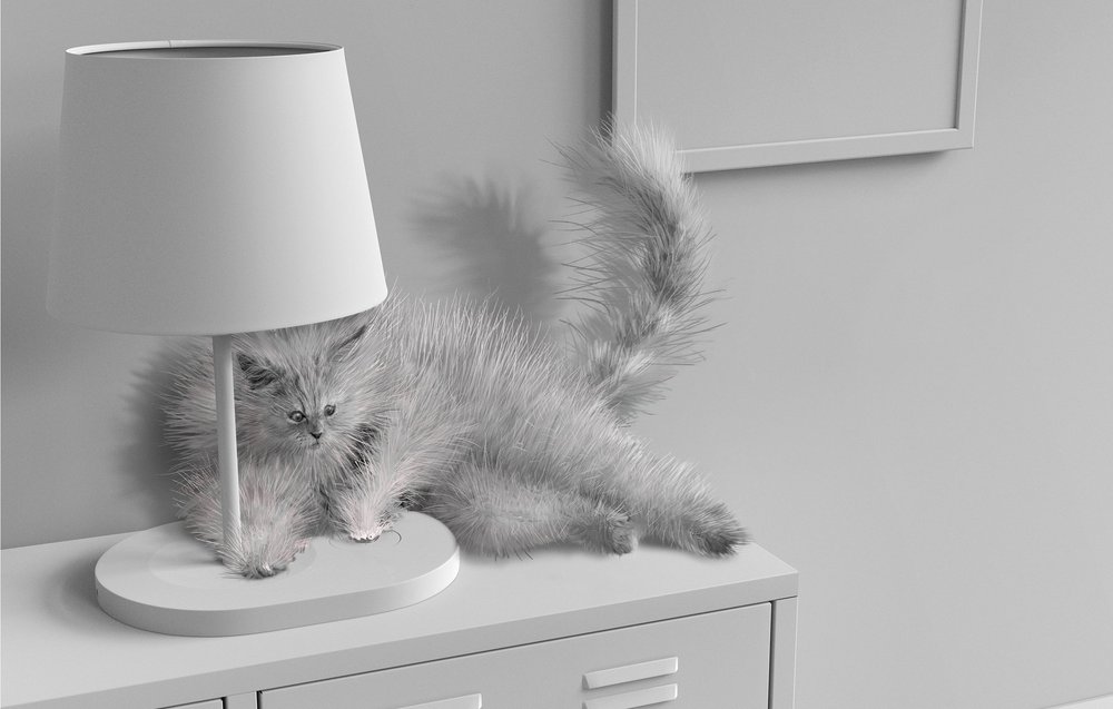 Cats - ILLUSION CGI STUDIO