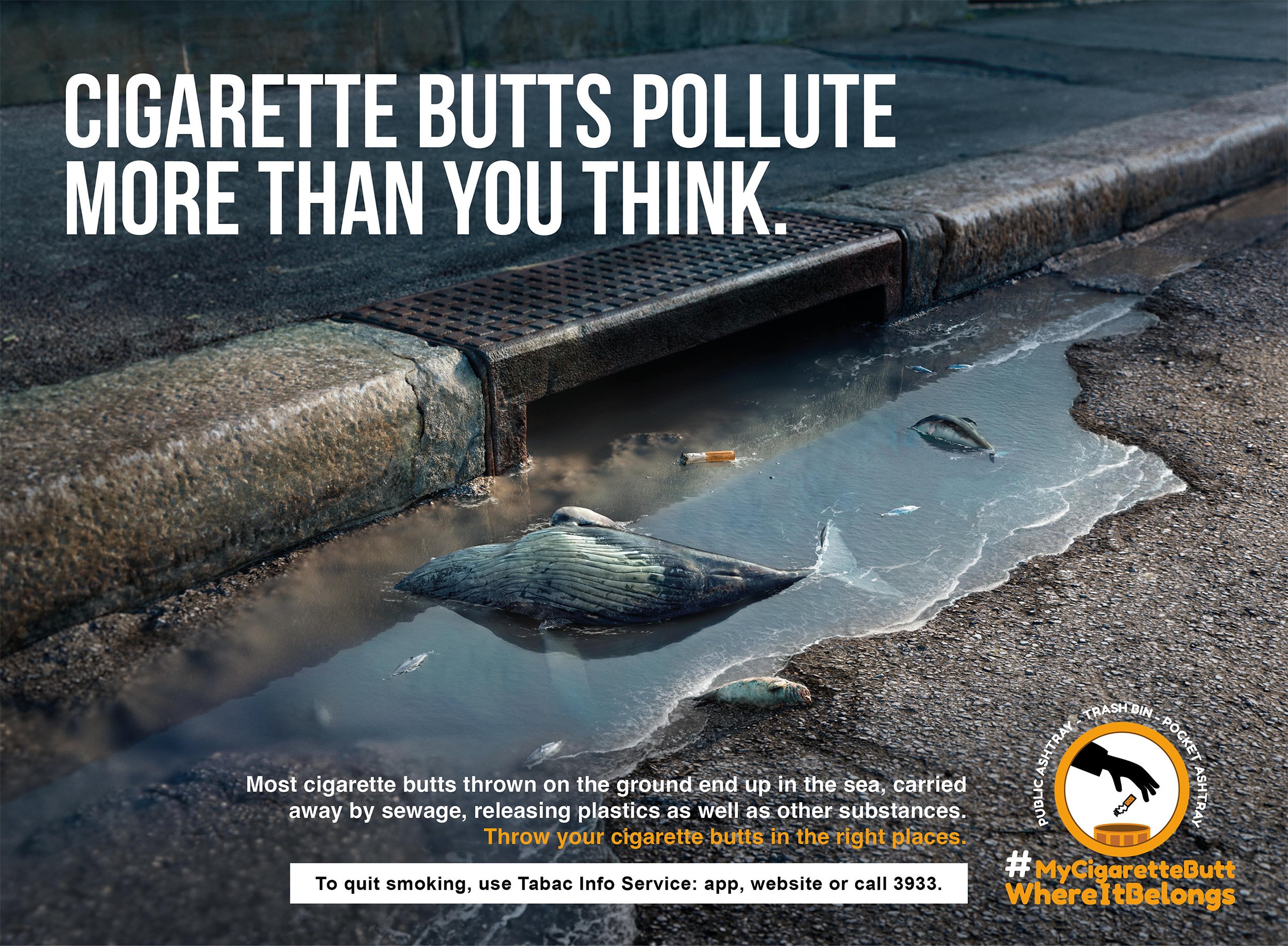 Animal - ILLUSION CGI STUDIO