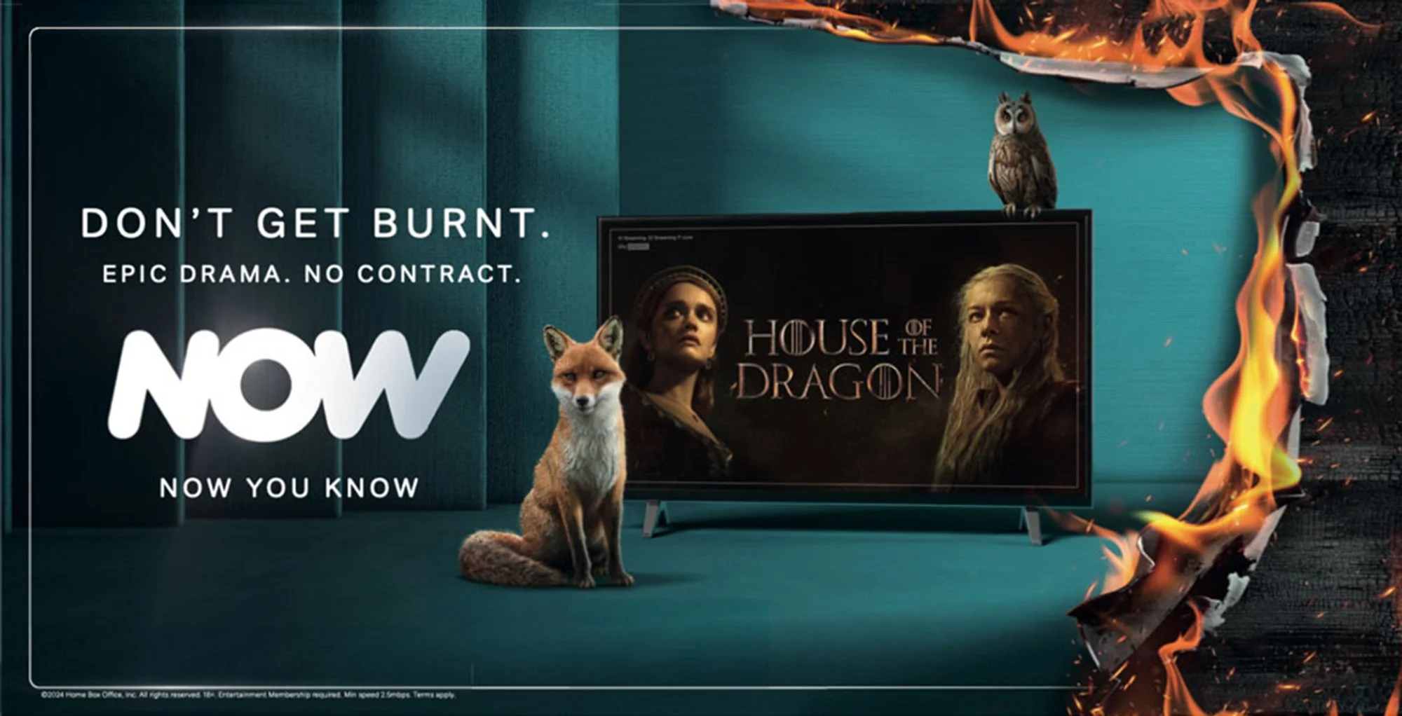 NOW - ILLUSION CGI STUDIO