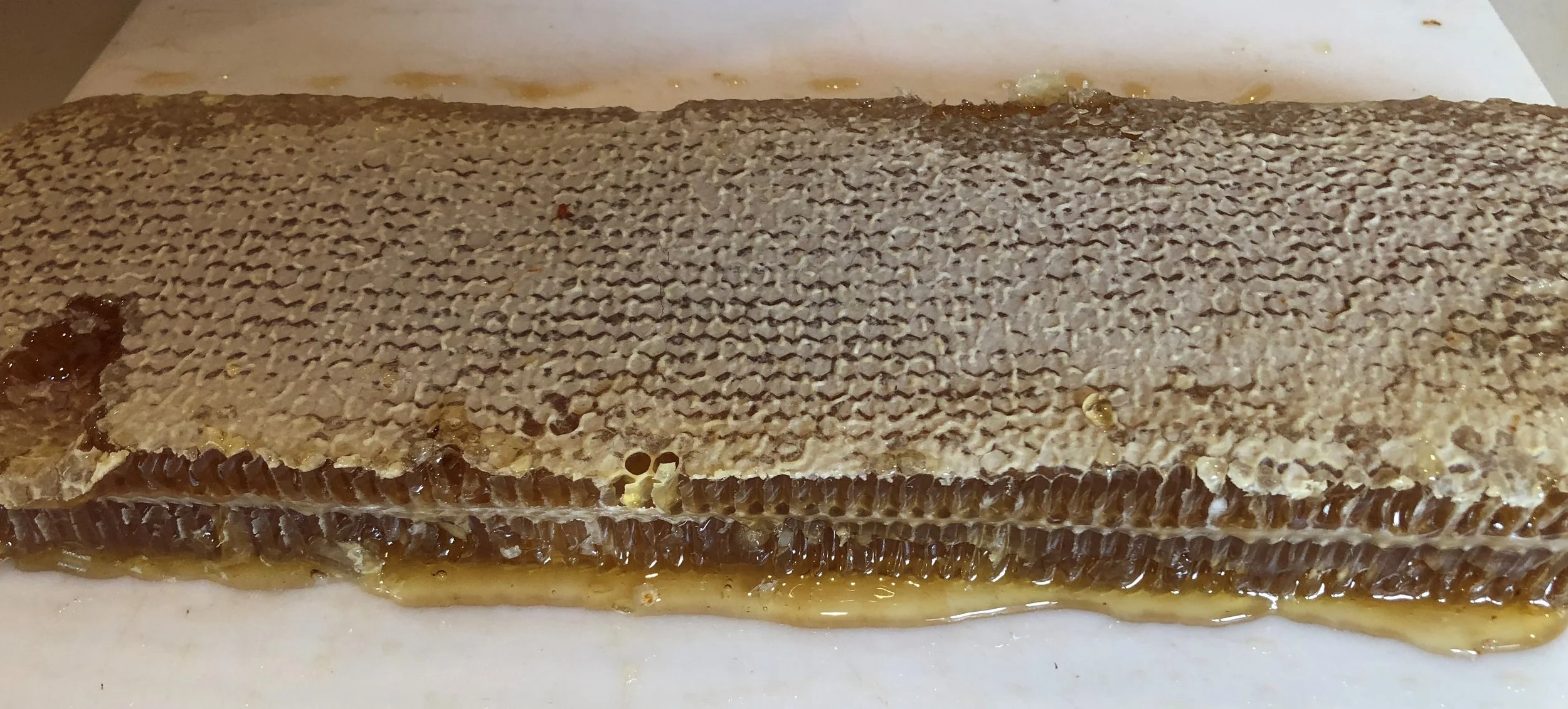 Comb Honey — Appin Bees