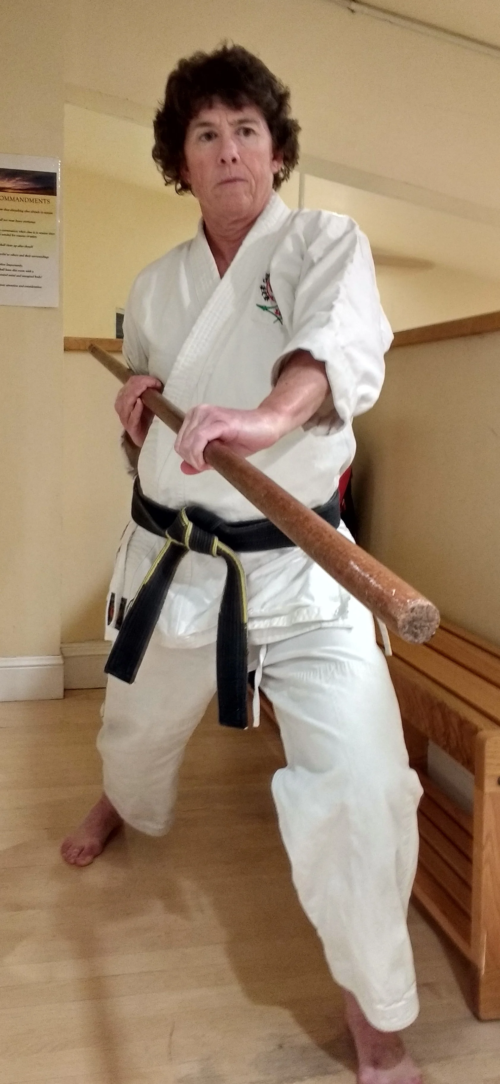 Instructors — KENKOJUKU Shotokan Karate