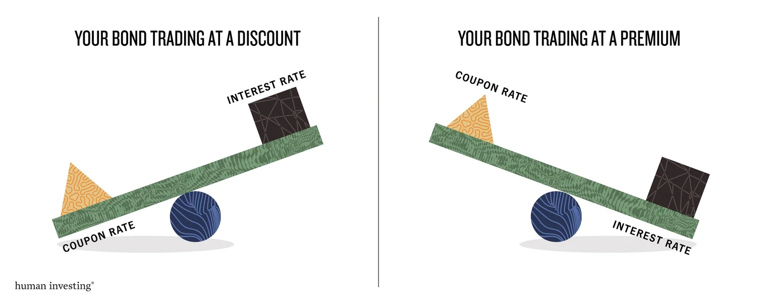 Understanding how bonds work and when you should own them — Human Investing
