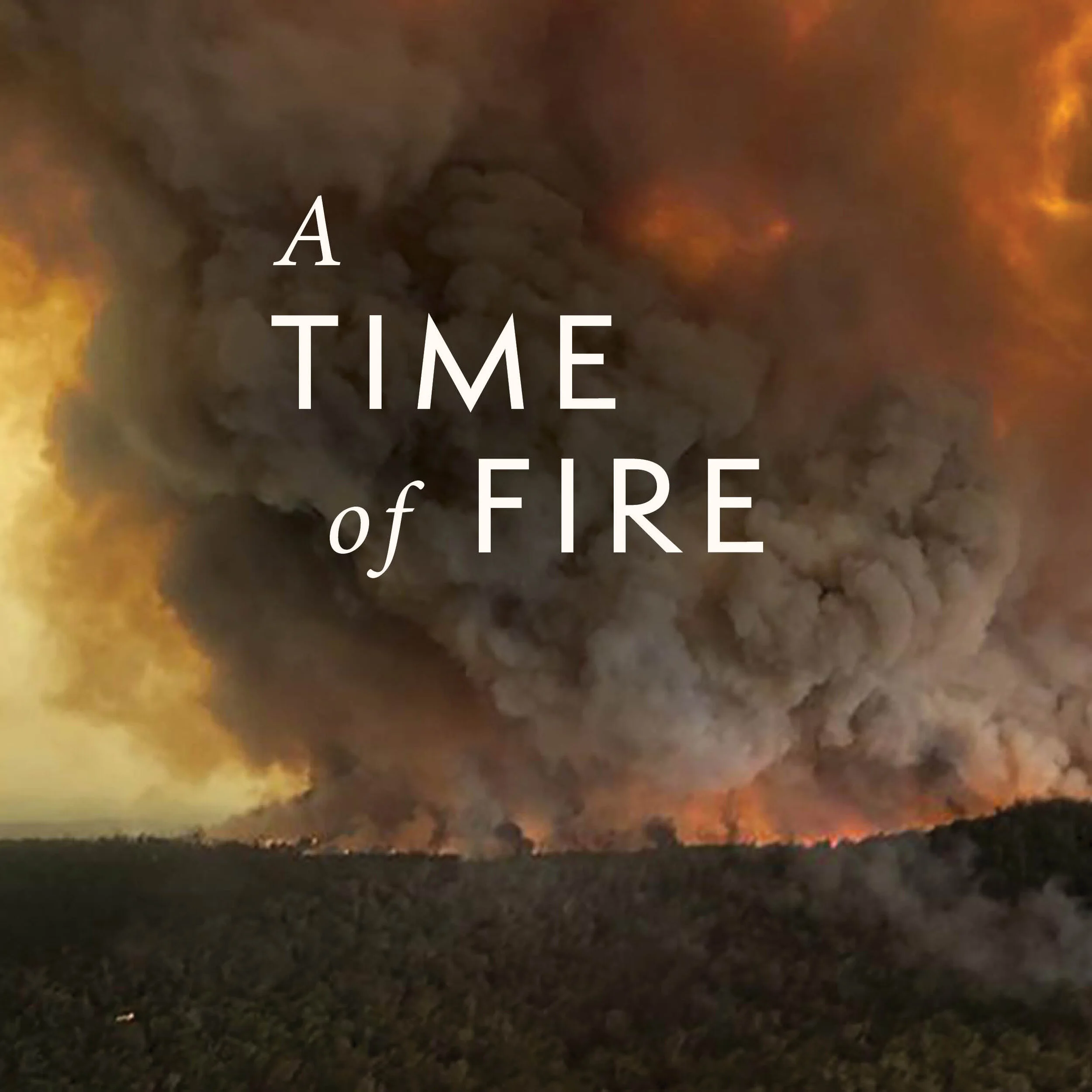 Michael Meade essays — MICHAEL MEADE MOSAIC VOICES