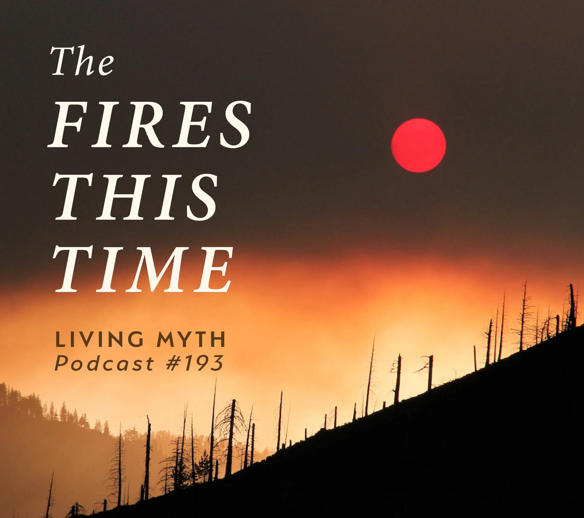 Living Myth Podcast #193 - The Fires This Time — MICHAEL MEADE MOSAIC ...