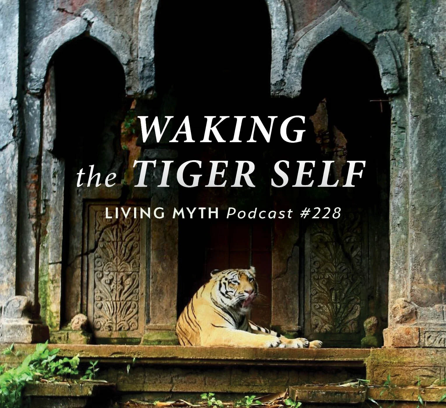 Living Myth Podcast #228 - Waking the Tiger Self — MICHAEL MEADE MOSAIC ...