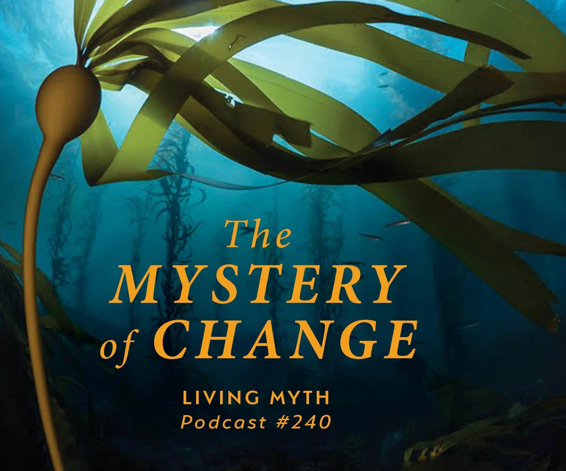 Living Myth Podcast #240 - The Mystery of Change — MICHAEL MEADE MOSAIC ...