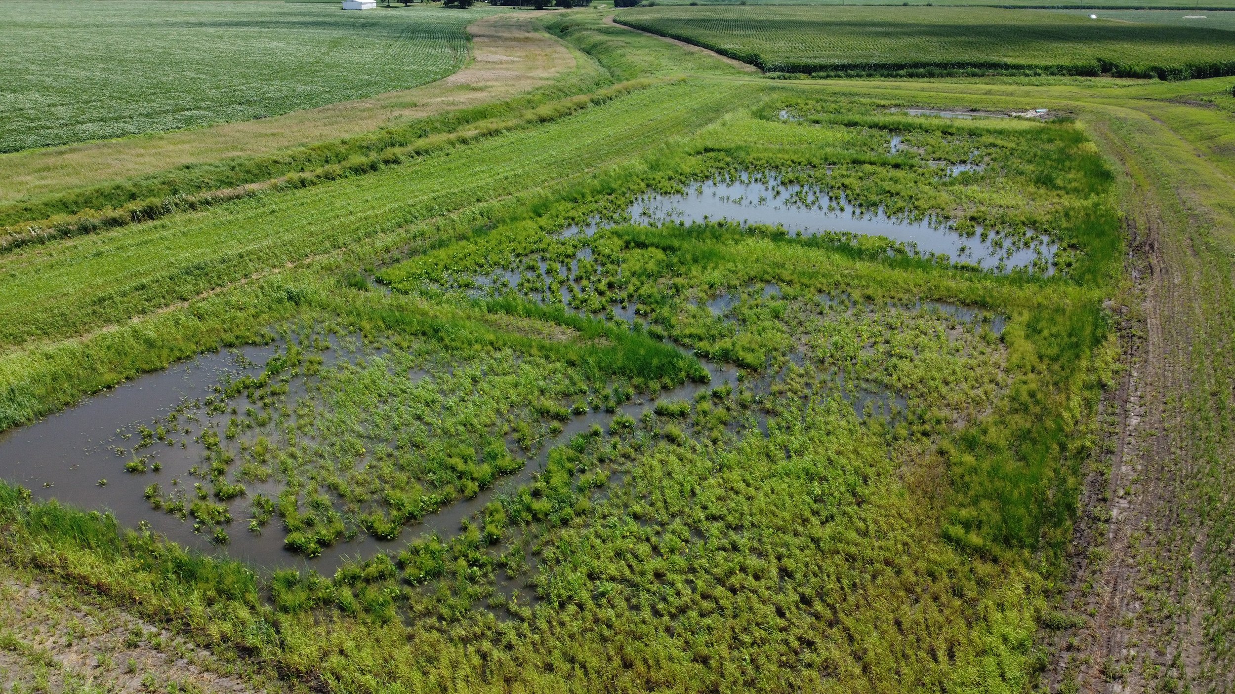 Smart Wetlands In Action — Smart Wetlands