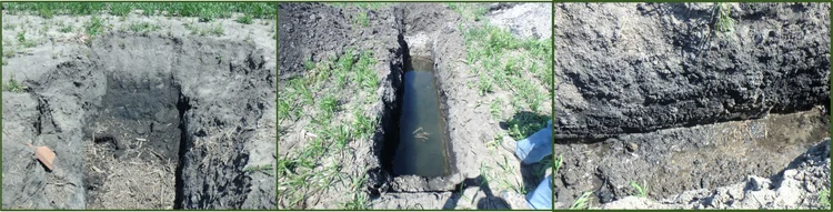 What are hydric soils? — Smart Wetlands