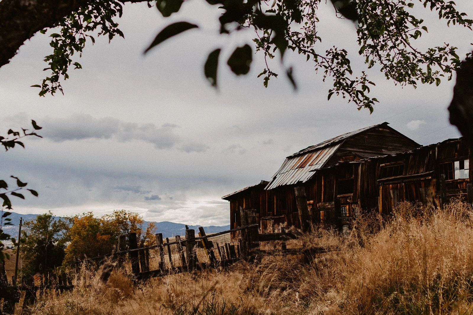 Events — Moon-Randolph Homestead