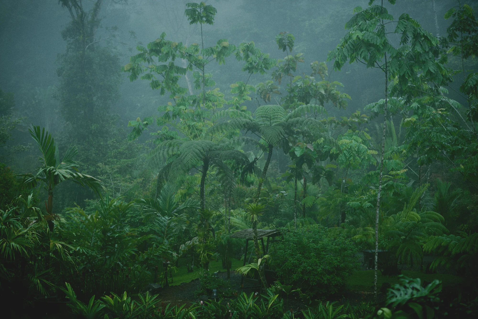 VOGUE ITALIA - Alien Observer 2019 — ARIANNA LAGO