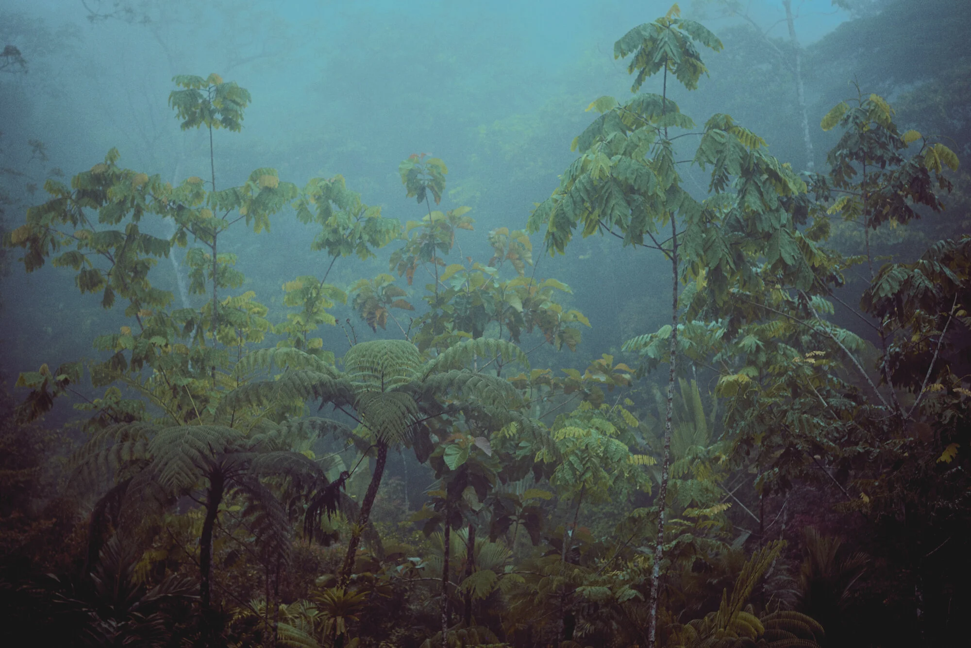 VOGUE ITALIA - Alien Observer 2019 — ARIANNA LAGO