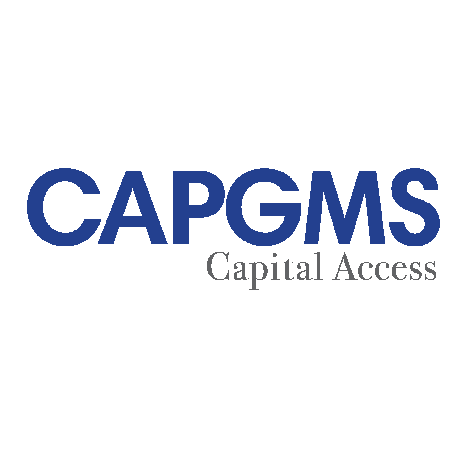 Capital Access, Inc.