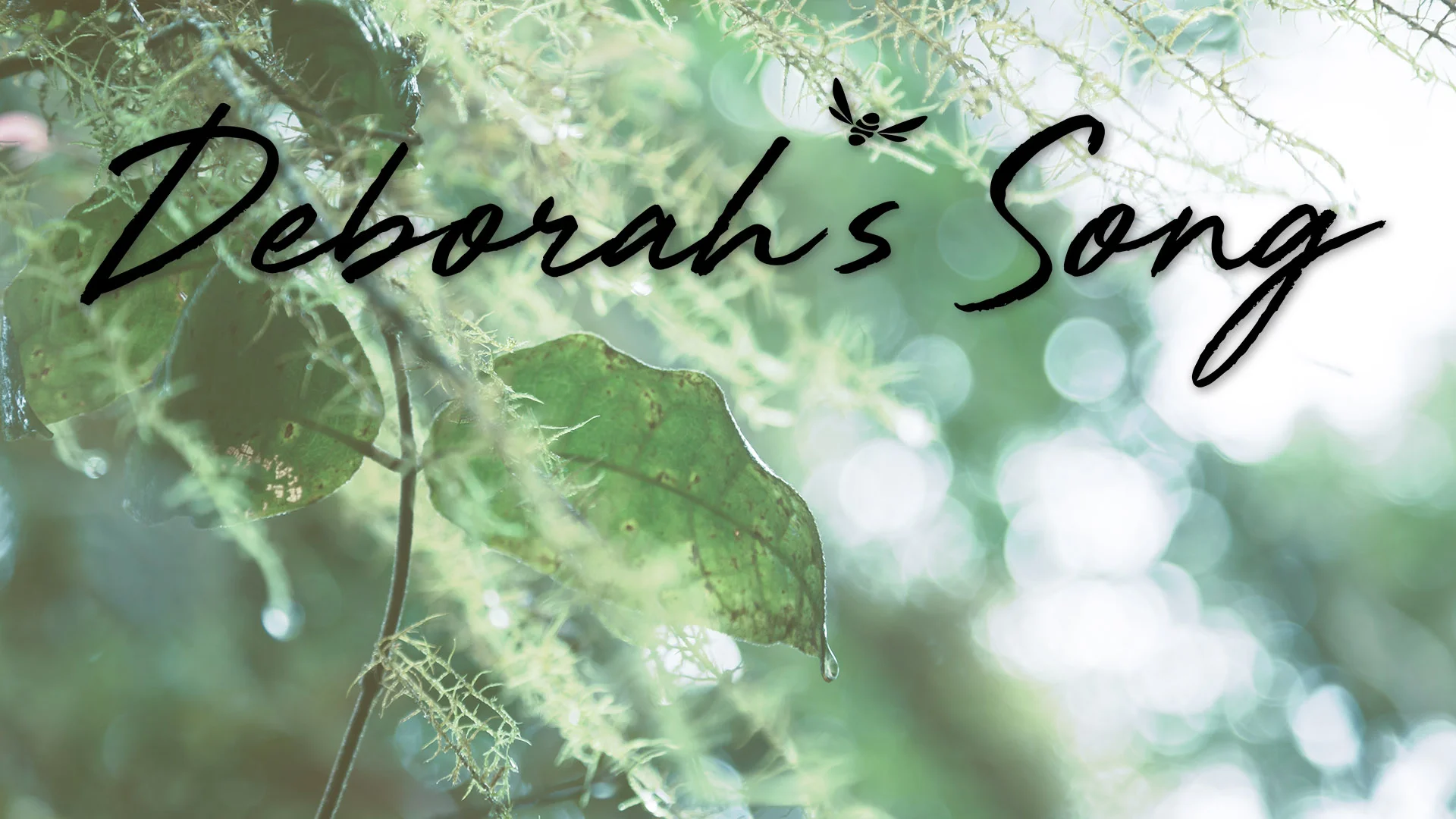 Antioch Bible Church