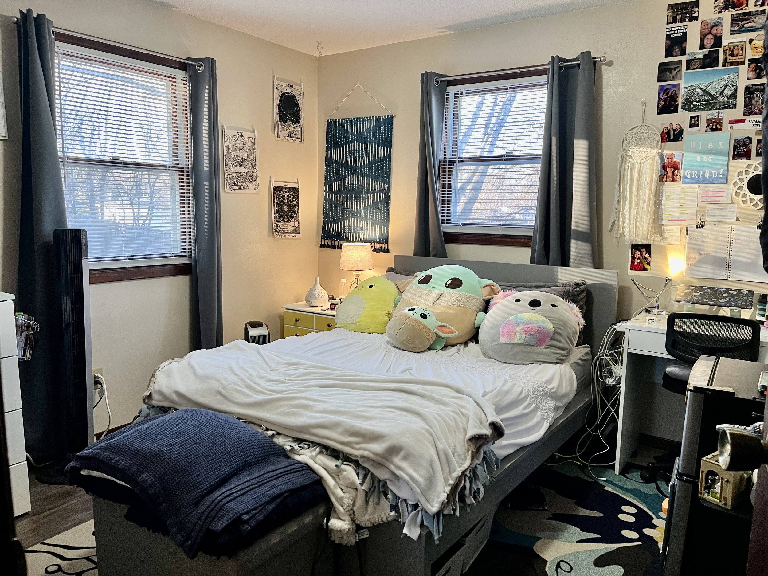 Usd Campus Dorms