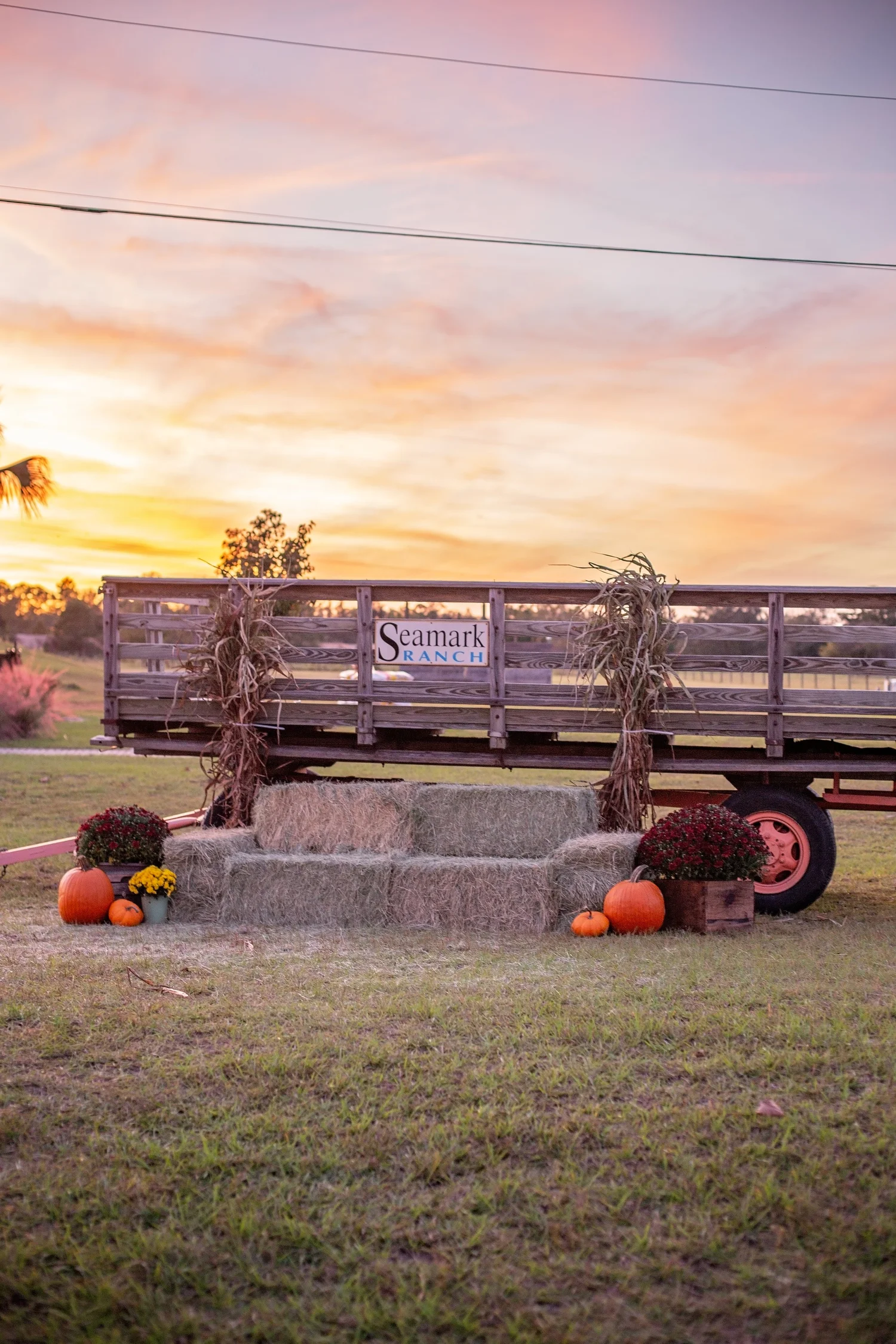 Impacts — Seamark Ranch