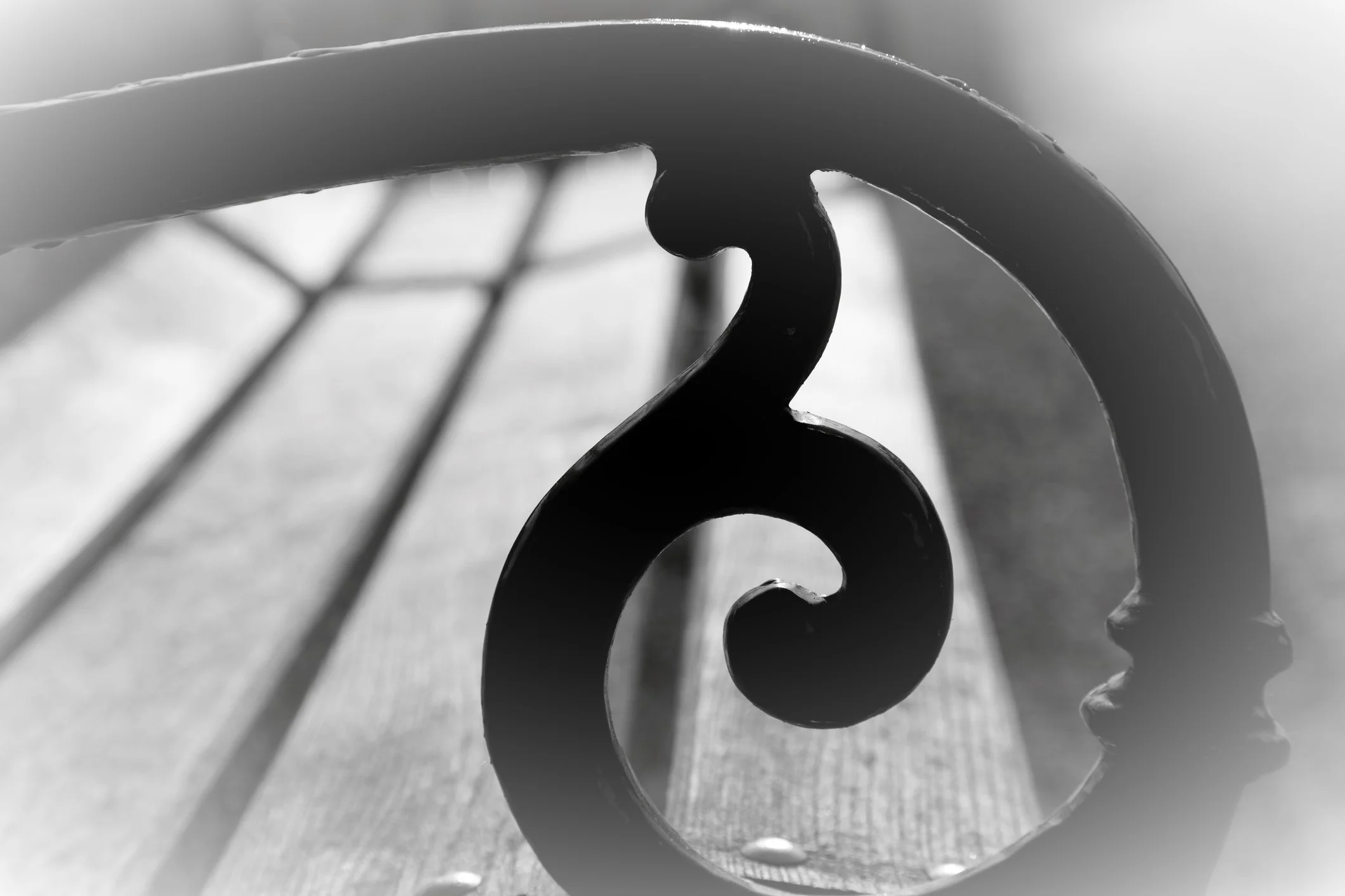 HOA Management Company | Denver | Novele Community Management Inc - HOA ...