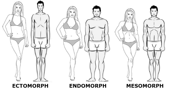 People Are Born With An Inherited Body Type Based On Skeletal Frame And People Are Born With An Inherited Body Type Based On Skeletal Frame And