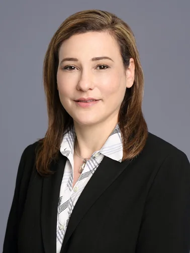 Attorney Bios — The Lawfare Project