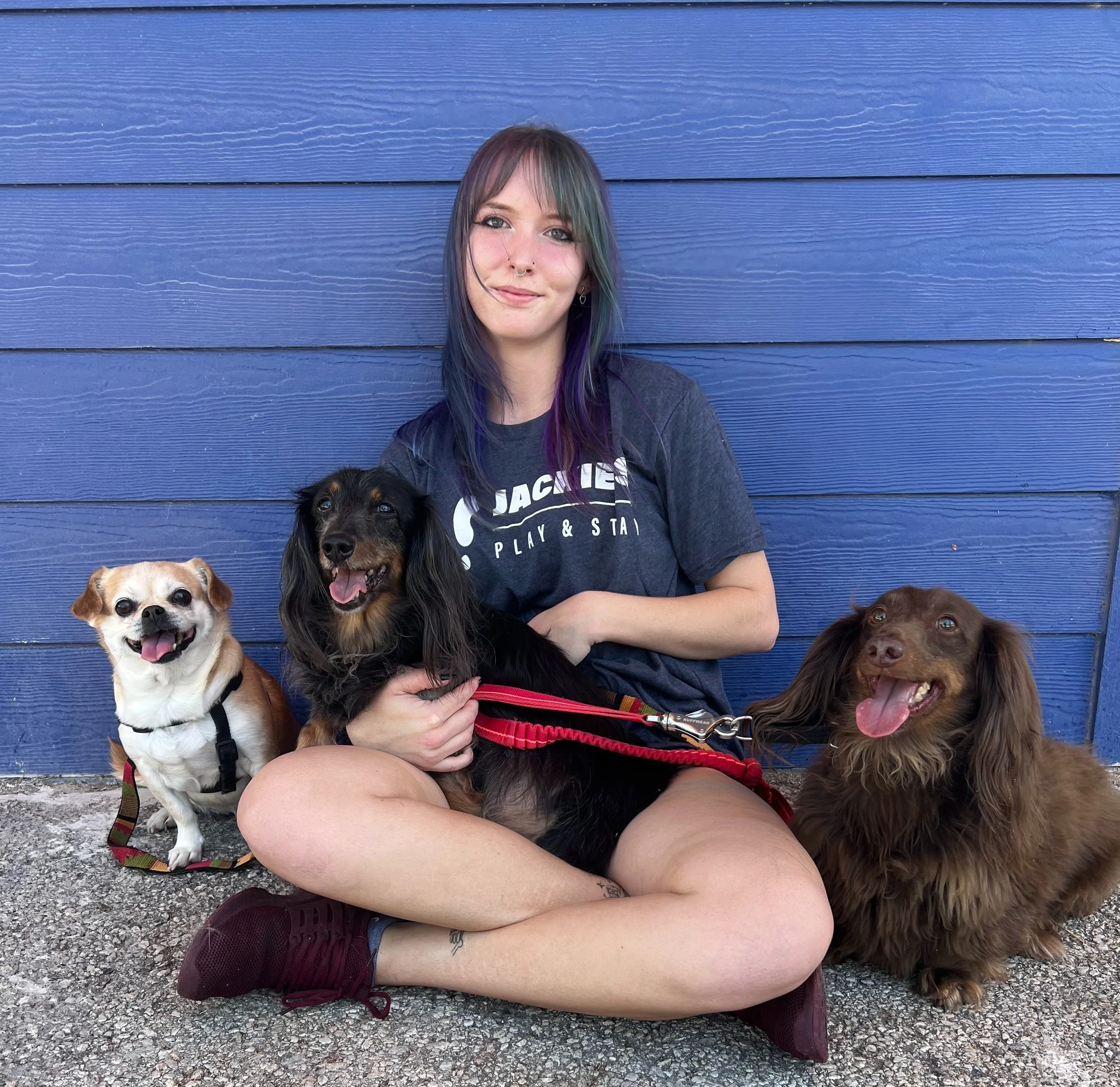 Meet The Team — Jackie's Play & Stay