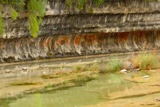 History of TOEA — Texas Outdoor Education Association