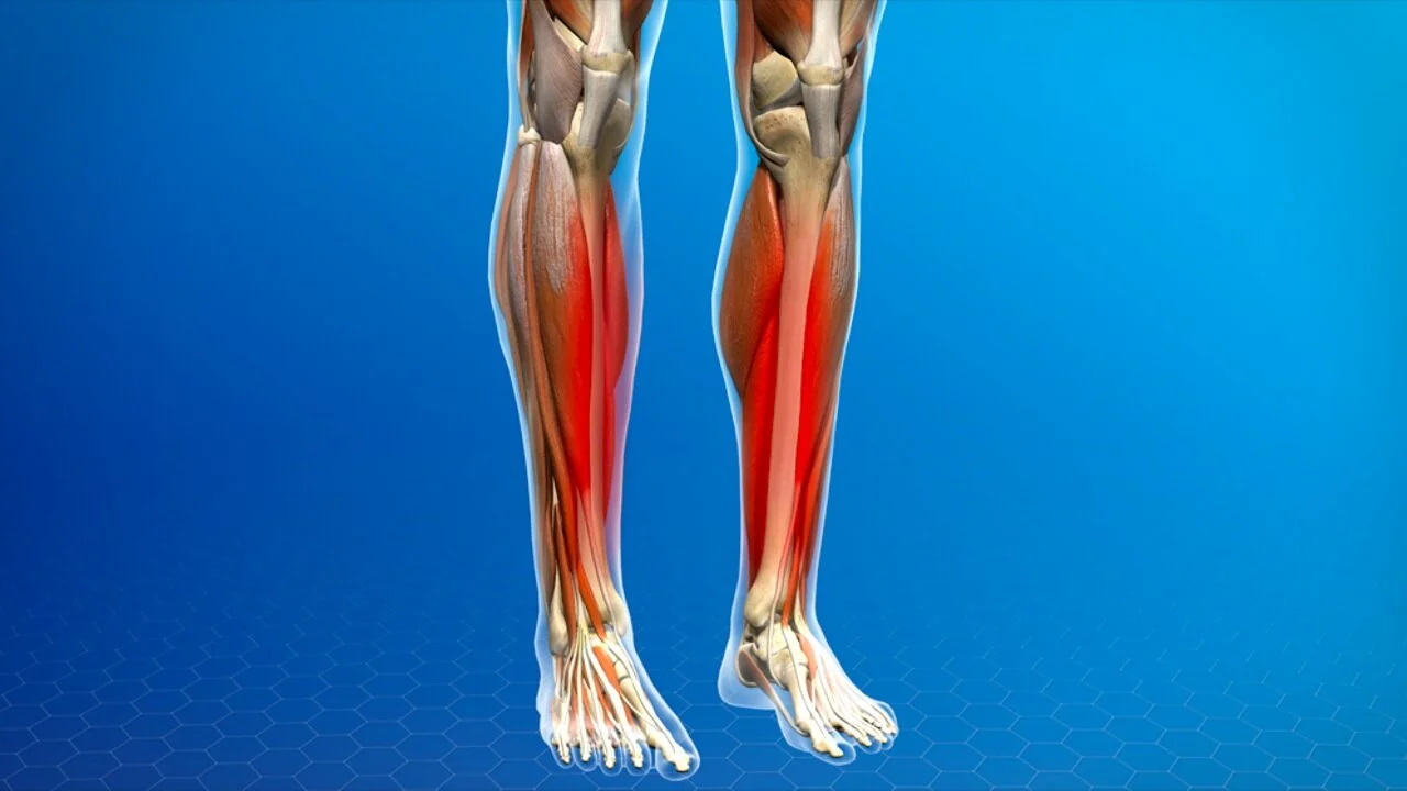 How To Use A Foam Roller For Shin Splints | Physiotherapists in Toronto ...