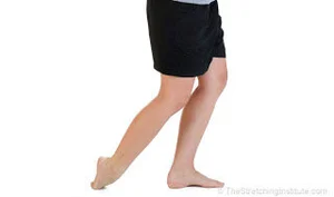 How To Use A Foam Roller For Shin Splints | Physiotherapists in Toronto ...