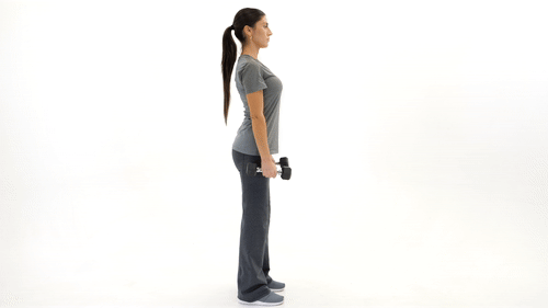 Meniscal Tears Recovery Time: Key Facts, 6 Best Exercises for Optimal ...