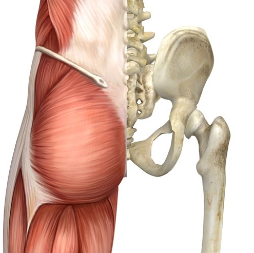 5 Best Exercises for Sacroiliac Joint Pain | Physiotherapists in ...