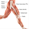 The Top 5 IT Band Stretches And Exercises For Alleviating Outer Knee ...