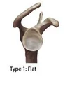 Dealing With Acromion Pain With The Best Exercises For Relief ...