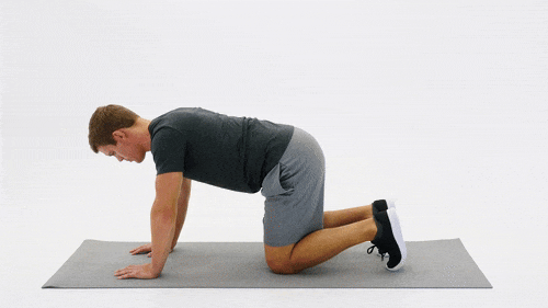 7 Best Hip Strengthening Exercises and How to do Them Effectively ...